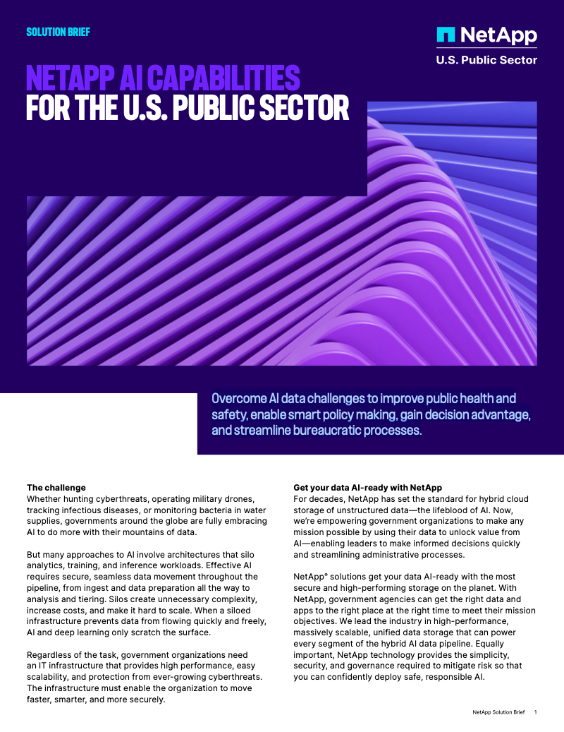 NetApp AI Capabilities for the U.S. Public Sector
