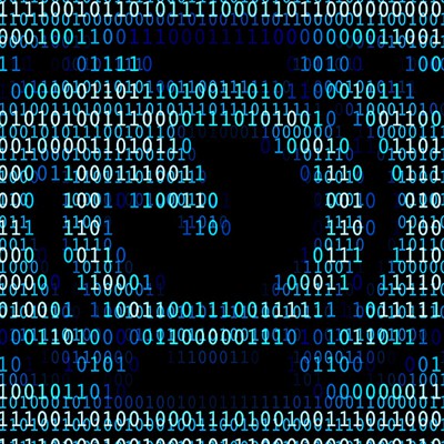 Lessons from the First Phases of Continuous Diagnostics and Mitigation ...