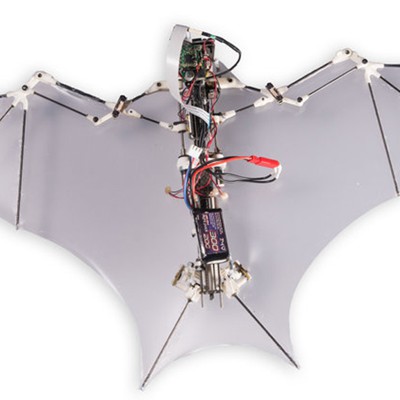Pentagon Seeks Laser-Powered Bat Drones - Nextgov/FCW