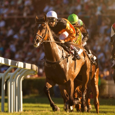 A Game-Changing AI Tool for Tracking Animal Movements - Nextgov/FCW