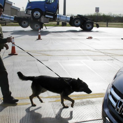 DHS Wants to Outfit Its Dogs With Wearable Tech - Nextgov/FCW