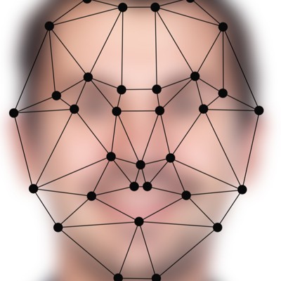 ICE Outlines How Investigators Rely on Third-Party Facial Recognition ...