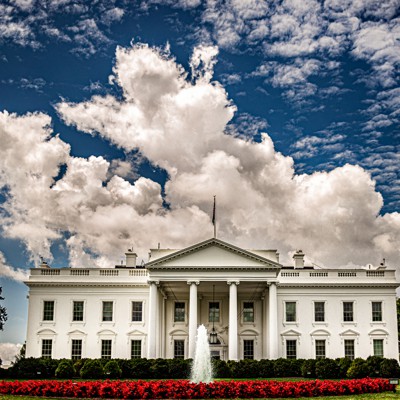 Natalie Alms - Journalist Profile - Intelligent Relations