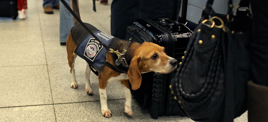 The Next Step in Securing the Border: Fido and a Smart-Sensor Collar ...