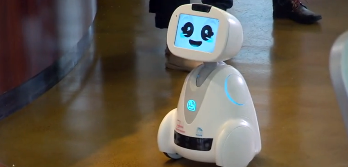 Video: Meet Buddy, the Robot that Will Help Protect and Connect You ...