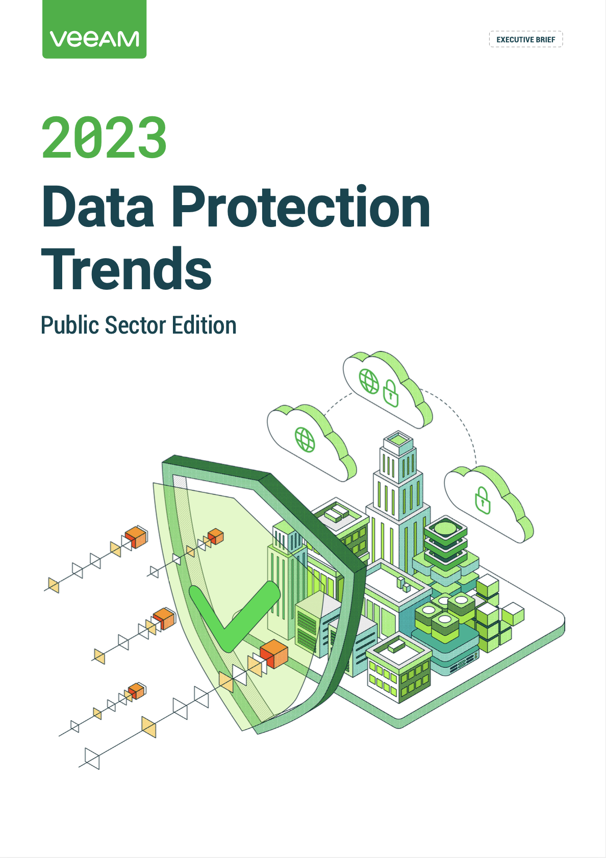 2023 Data Protection Trends: Public Sector Edition